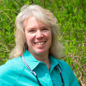 Stream Acidification and Fish Species Diversity - 4-VA