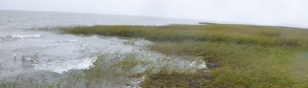 Chesapeake Coastal Flooding Forecasts - 4-VA